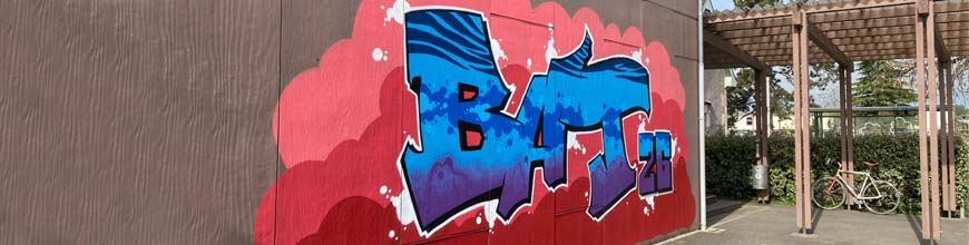 Le BAT 26, c'est quoi? - thonex