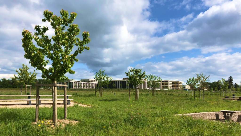 Verger participatif de Thônex - thonex